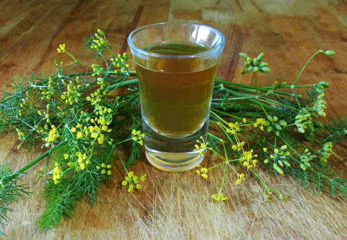 La ricetta del liquore al finocchietto | Coltivazione Biologica