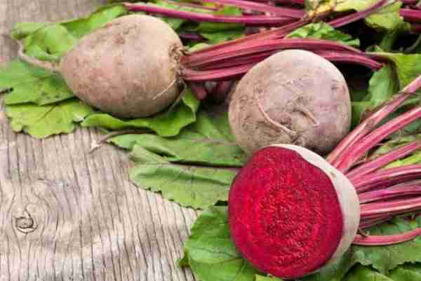 Rapa rossa: coltivazione e semina | Coltivazione Biologica