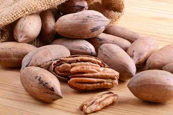 Le noci pecan, come curare e coltivare l'albero nel frutteto