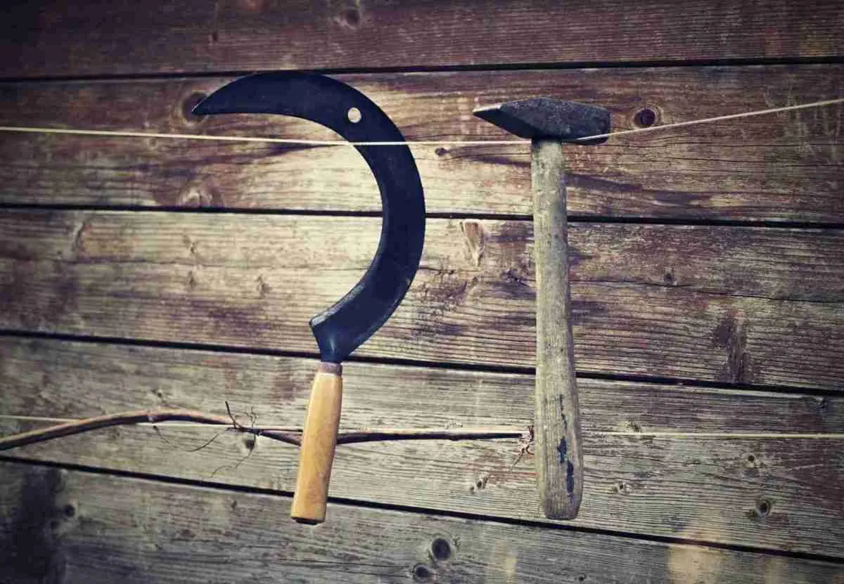 Come scegliere il falcetto manuale più adatto a noi | Coltivazione ...