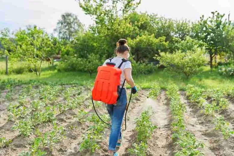 Come acquistare il bacillus thuringiensis kurstaki | Coltivazione Biologica